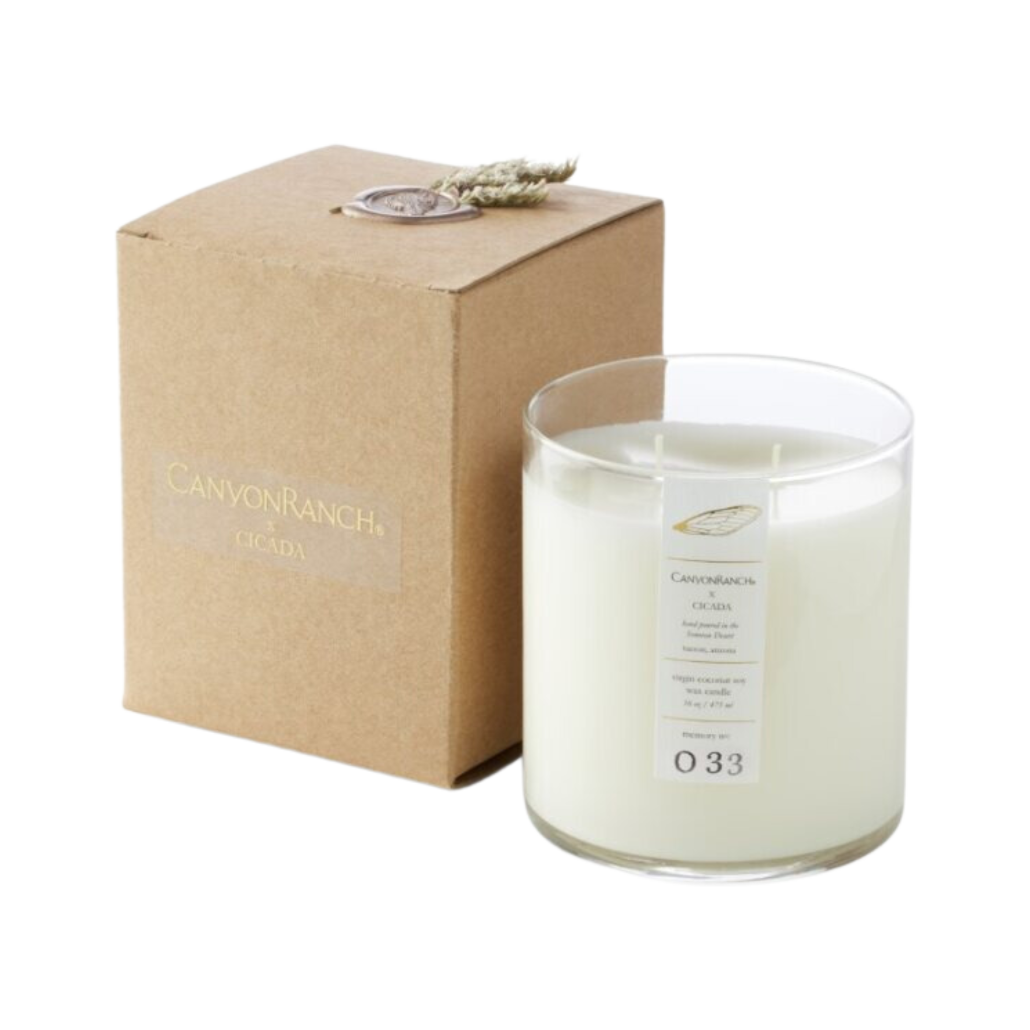 Canyon Ranch Valencia 16oz Candle – Canyon Ranch Online Store